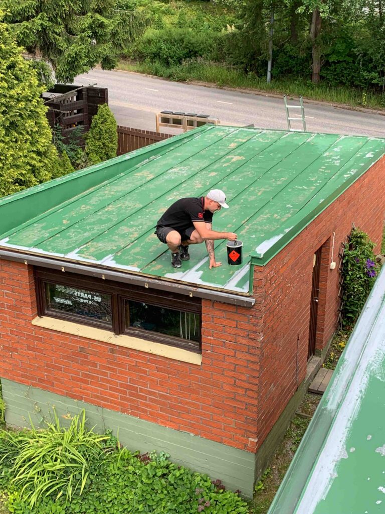 Katusehooldus - Katusepesijad